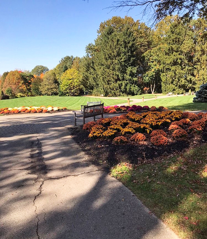 Mums create a tapestry of autumn color beside a perfectly placed bench. Nature's invitation to sit and contemplate life's more important questions.