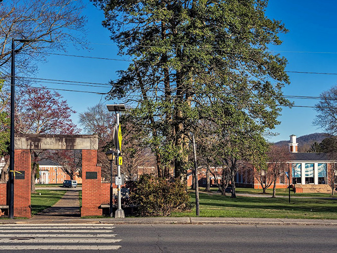 Brevard College's entrance invites students and visitors alike to stroll through its tree-lined campus, where education happens amid natural beauty.