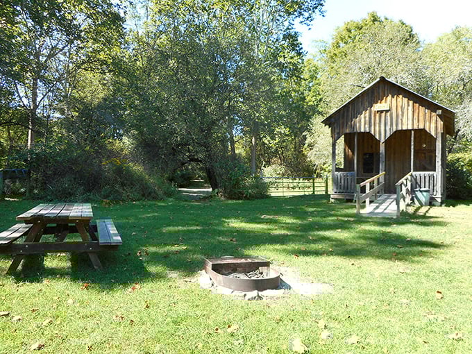Rustic cabins offer camping with just enough comfort to keep your non-outdoorsy friends from plotting their early departure back to civilization.