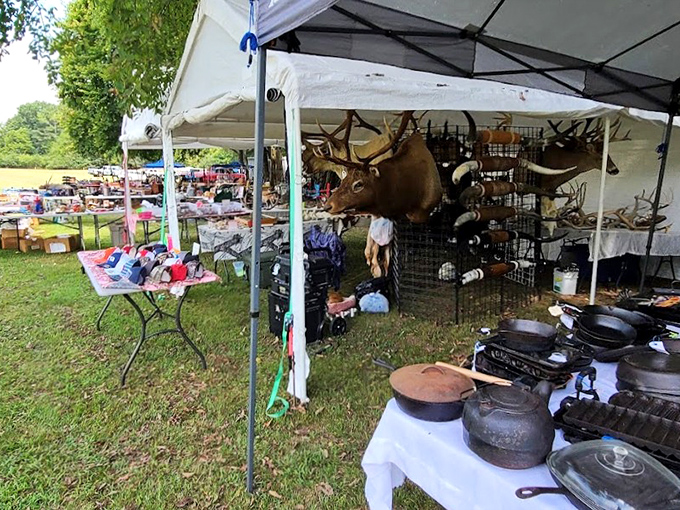 Cast iron pans seasoned by generations, ready to create new family memories one perfectly cooked meal.
