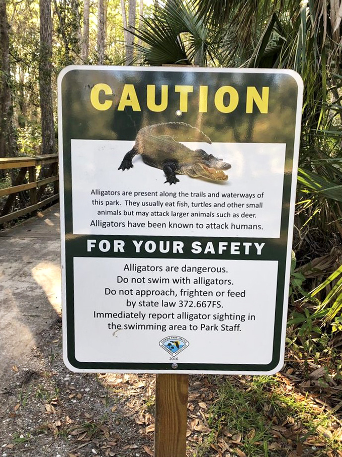 Warning signs remind visitors that this wilderness still operates under nature's rules.