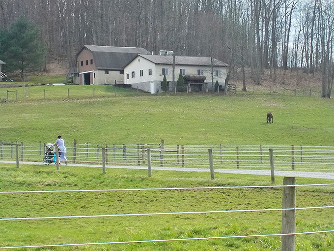 Even the farmhouses here have a storybook quality &ndash; this pastoral scene could be from any century if not for the subtle hints of modernity.