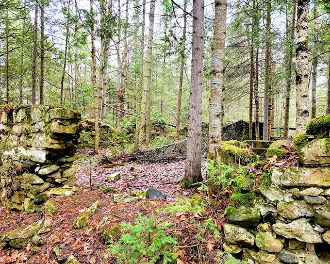 Stone ruins whisper stories of Cheboygan's past among towering pines, creating a mystical woodland scene worthy of a fantasy novel's opening chapter.