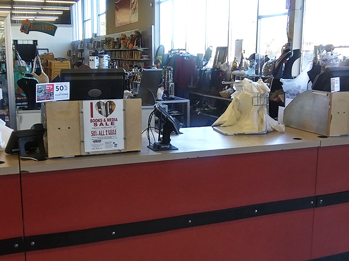 The final frontier where purchases become reality and shopping carts reveal their eclectic treasure collections.