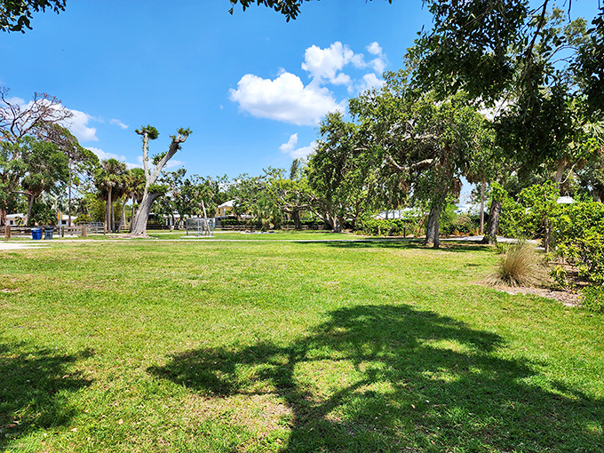 Green spaces that don't require membership fees. Cherokee Street Park offers room to breathe without breathing in your neighbor's business.