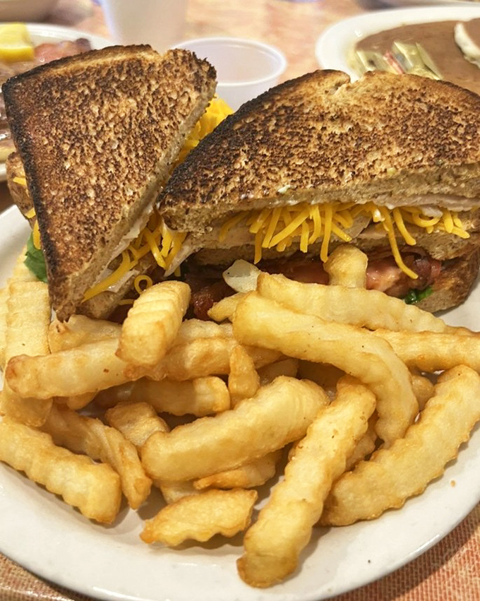 A sandwich built like it's trying to impress your mother, with fries that clearly graduated from potato finishing school. 