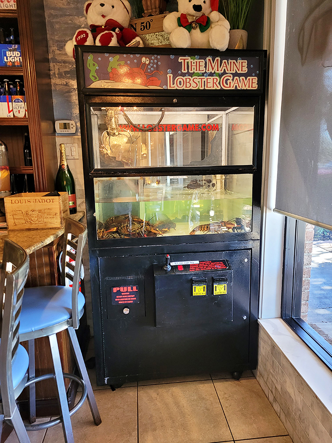 The Maine Lobster Game: where arcade fun meets dinner selection in the most Florida way possible.