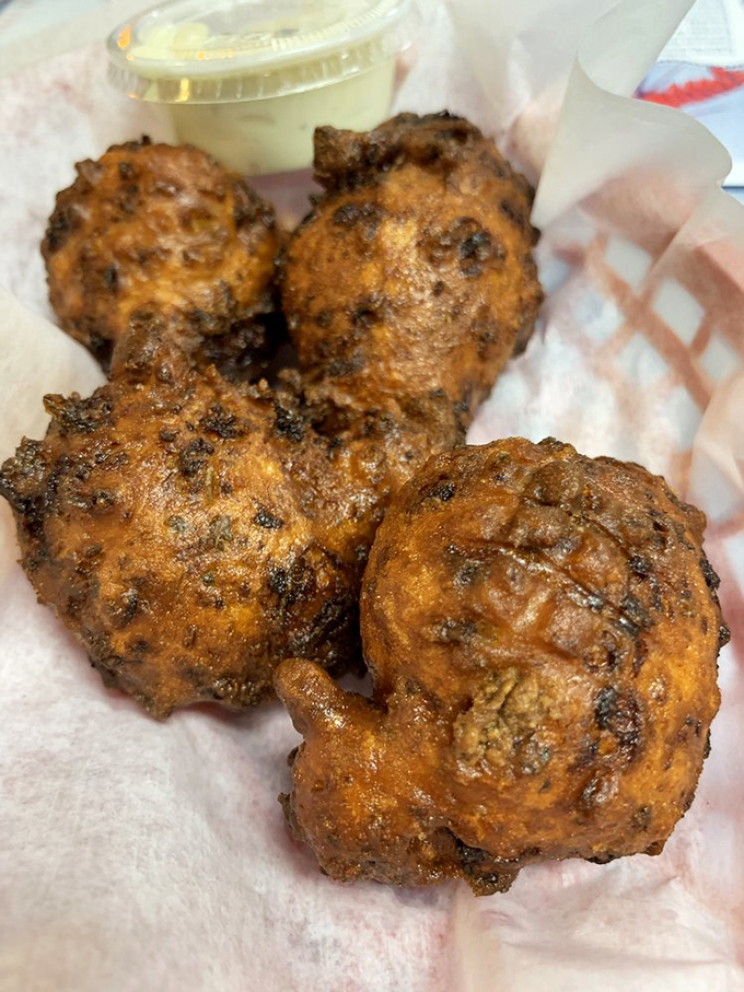 Conch fritters: golden orbs of crispy-outside, tender-inside goodness that make you wonder why you don't eat conch every single day.