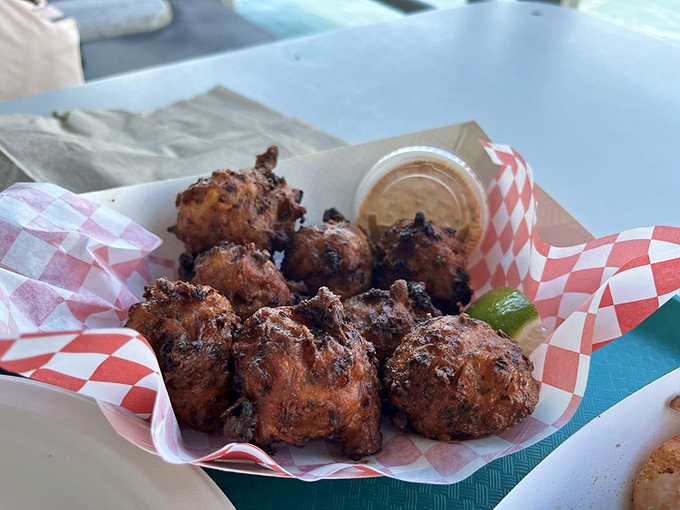 Golden conch fritters that transform tough mollusks into crispy spheres of pure happiness.