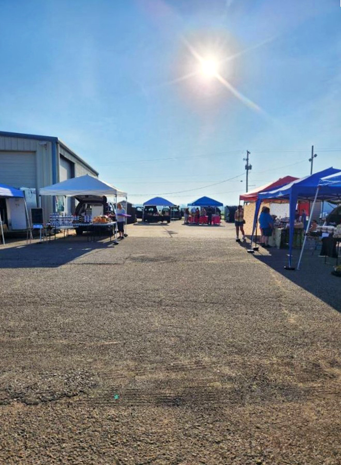 Local farmers markets offer fresh produce and handcrafted goods under blue skies, where conversations are as nourishing as the food.
