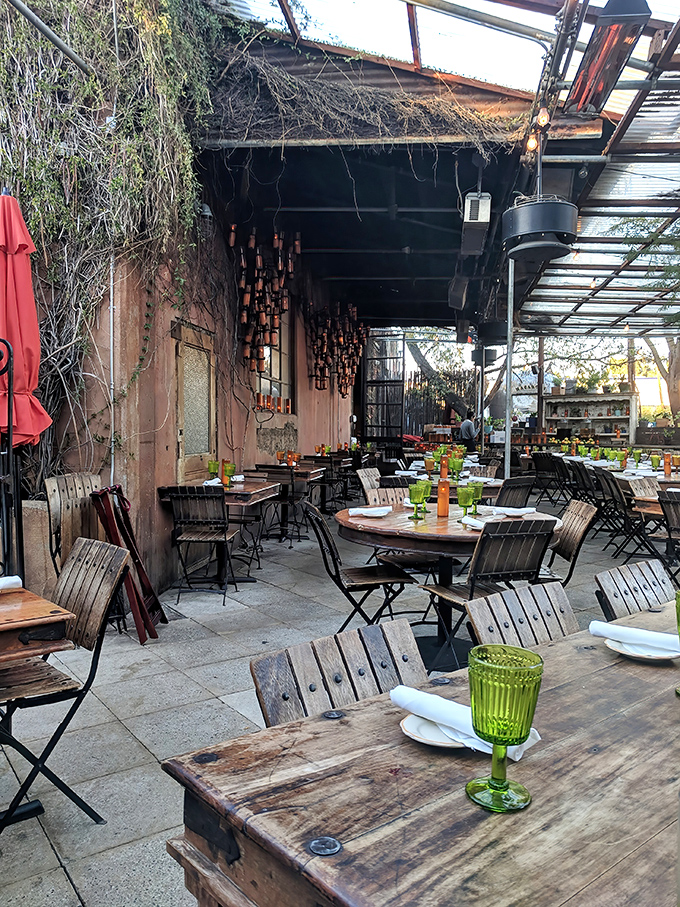 The patio where "just one more drink" becomes three. Weathered walls and hanging vines create the perfect backdrop for stories that improve with each telling.