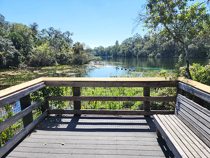 Nature's observation deck, where the seating may be simple but the view is five-star. The perfect spot for morning coffee or sunset reflections.