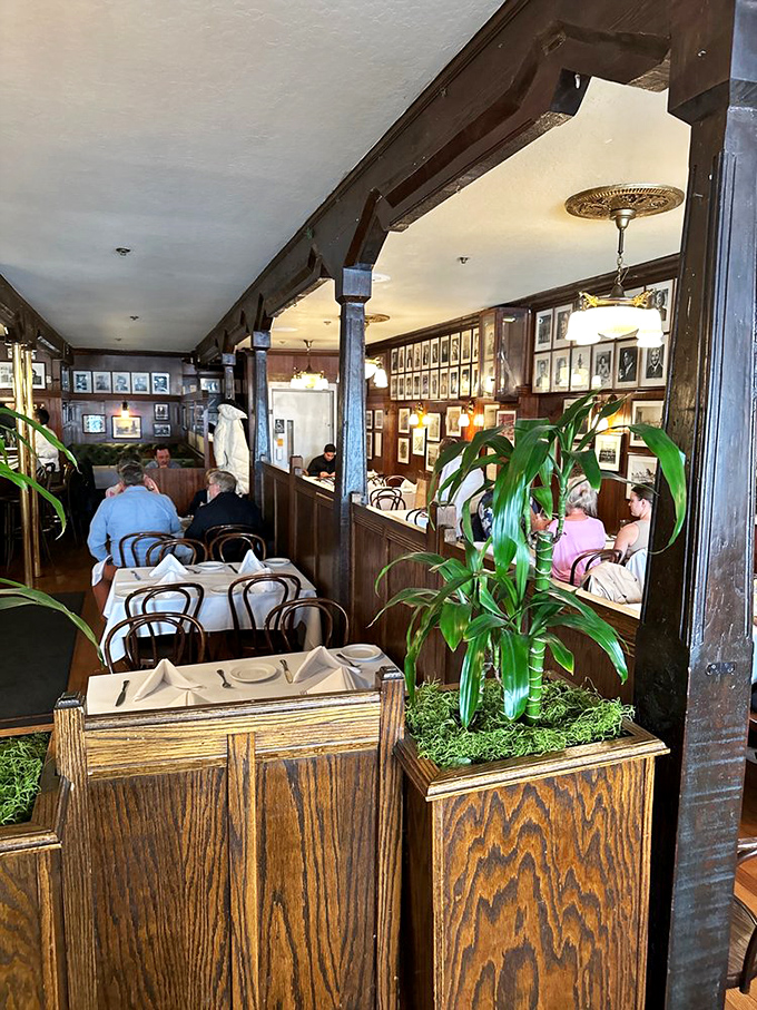 Wooden dividers and lush plants create intimate dining spaces where conversations flow as smoothly as the wine being poured at neighboring tables.