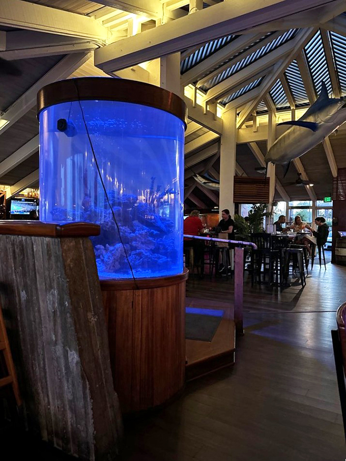 The blue glow of the aquarium transforms ordinary dining into underwater fantasy. Just don't make eye contact with your potential entr&eacute;es.