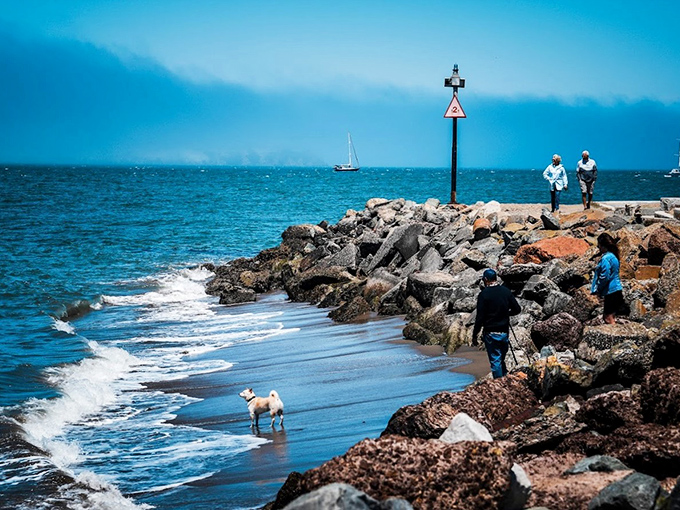The path to acoustic enlightenment involves sand, surf, and occasionally getting your shoes wet&mdash;small price for nature's concert.