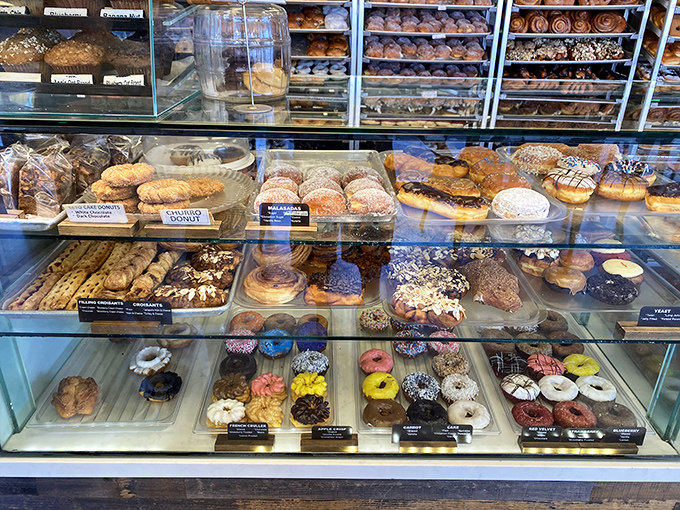 A treasure chest of glazed, filled, and frosted wonders that makes adults feel like kids on Christmas morning.