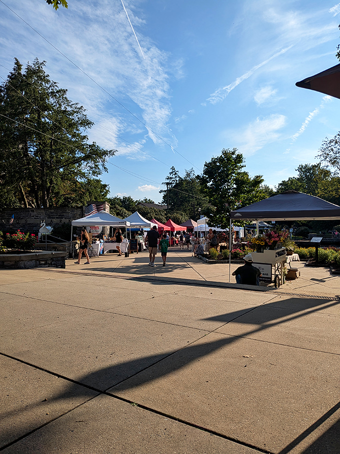 The farmers market transforms concrete into a colorful canvas of local produce, where conversations with farmers are as nourishing as their harvest.