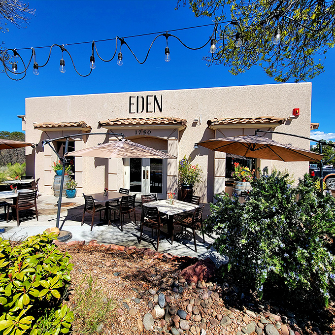 EDEN's sun-dappled patio invites lingering conversations over coffee or wine. The kind of place where afternoon plans dissolve into evening memories.