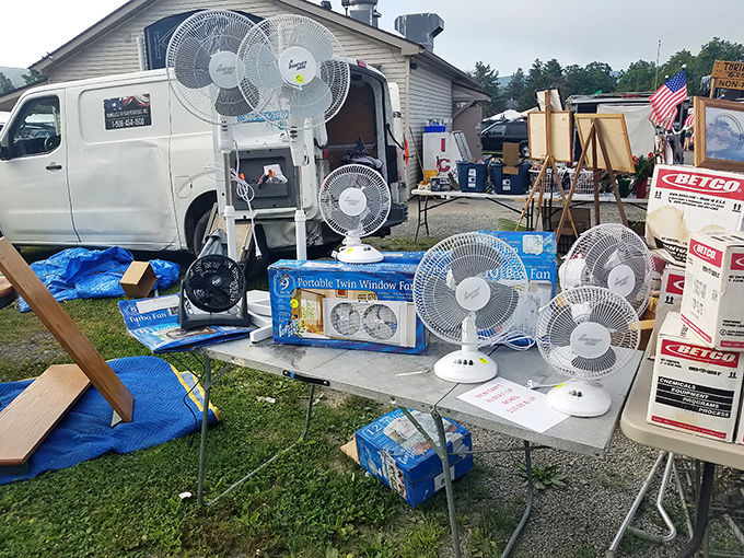 The hottest items on a summer day—literally. These fans represent the intersection of practical purchases and "just in case" preparedness.