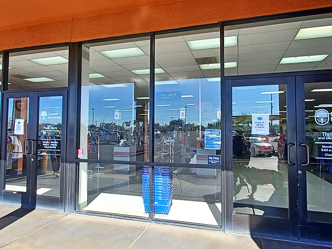 The entrance: where shopping carts wait like chariots ready to be filled with treasures that cost less than your morning latte.