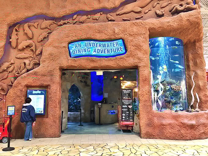 An Underwater Dining Adventure isn't overselling it. Walking through this entrance is like stepping into a Jacques Cousteau documentary with table service.