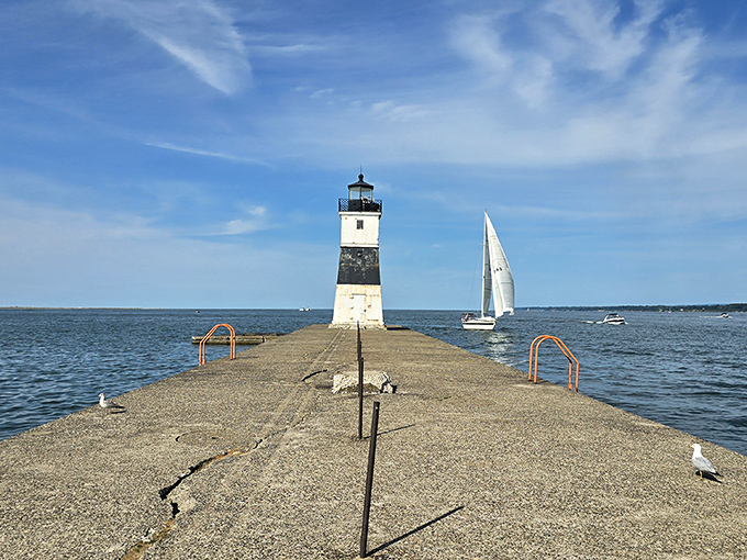 The North Pier Light stands guard where harbor meets lake, while sailboats glide by as they've done for generations.