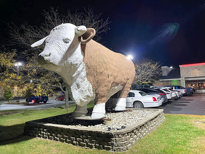 Charming exterior details that hint at the warm hospitality and exceptional dining experience waiting inside these welcoming walls.