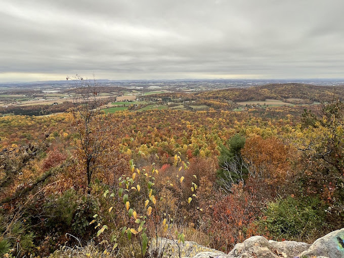 Fall arrives fashionably dressed, turning the mountainside into Pennsylvania's finest autumn runway show.
