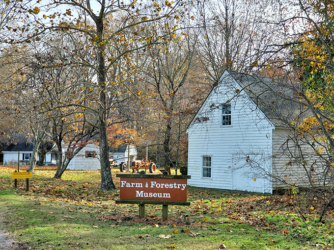The Farm & Forestry Museum captures rural Americana in pristine white clapboard. Fall foliage provides the perfect backdrop for this agricultural time capsule.