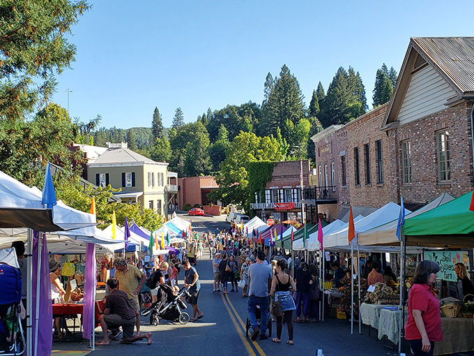 The farmers market transforms streets into a community living room. Local produce with zero delivery fees and conversations included at no extra charge.