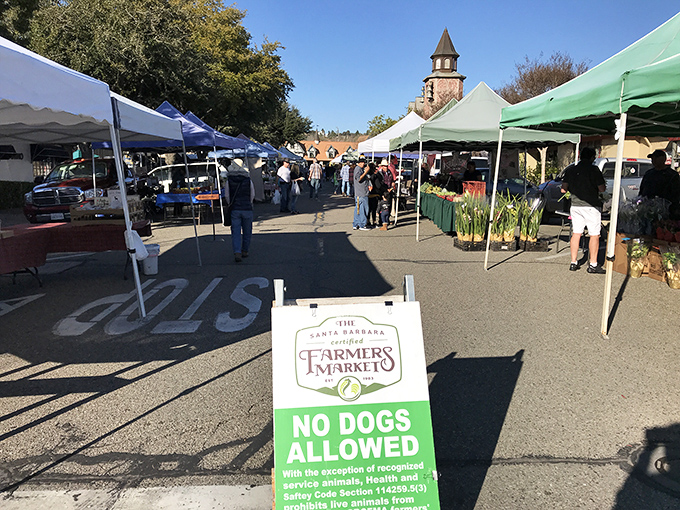 The farmers market adds California's agricultural bounty to Solvang's Danish delights. Fresh produce and pastries &ndash; name a more perfect pairing.