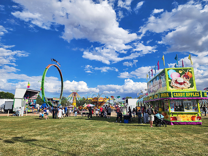 The county fair brings carnival thrills to Sierra Vista, complete with rides that make you question both physics and your lunch choices.