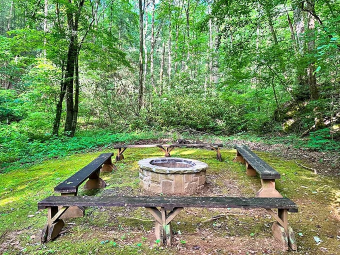 The original social network: people gathering around fire. This stone fire pit surrounded by benches has hosted countless s'mores and tall tales.