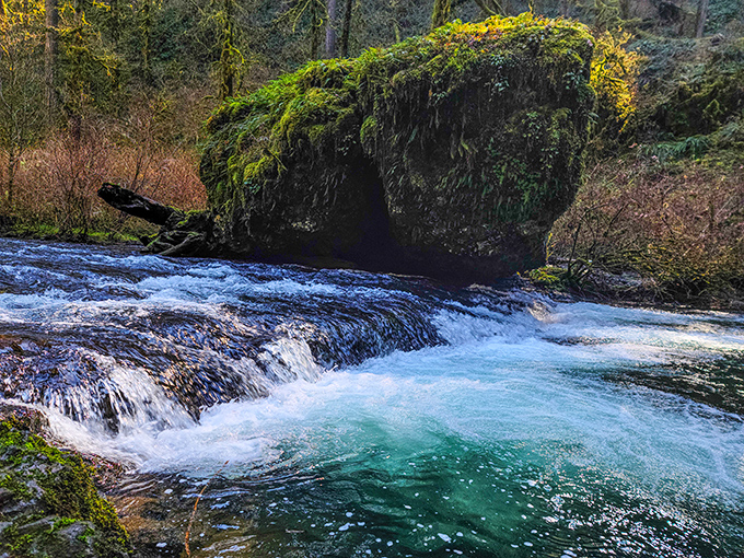 Turquoise dreams and mossy schemes: The water's impossible color looks like Mother Nature's been experimenting with food coloring.