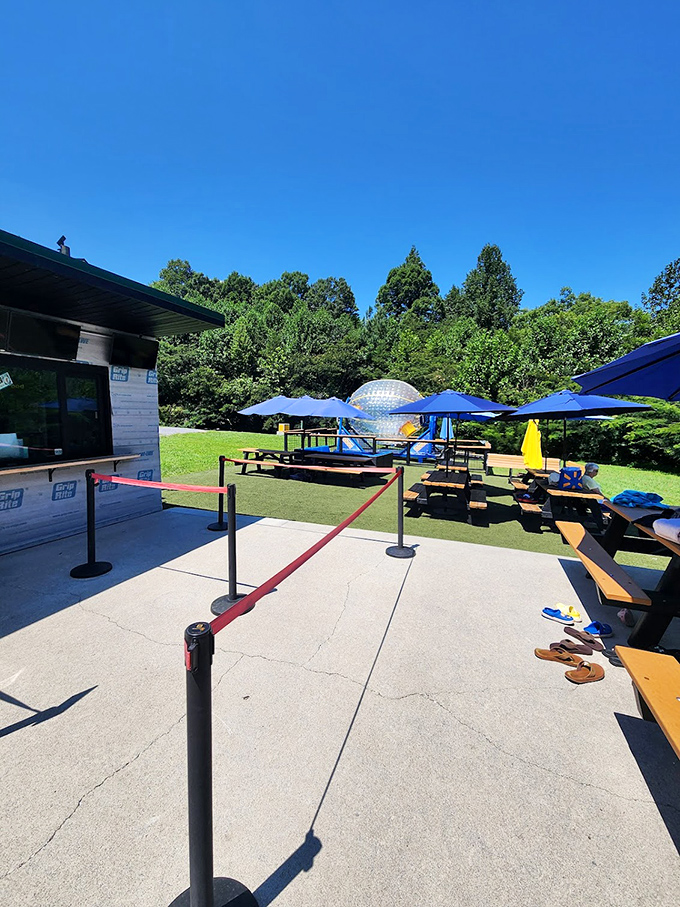 After your zorbing adventure, catch your breath at the outdoor seating area while contemplating life choices that led to being voluntarily rolled downhill.