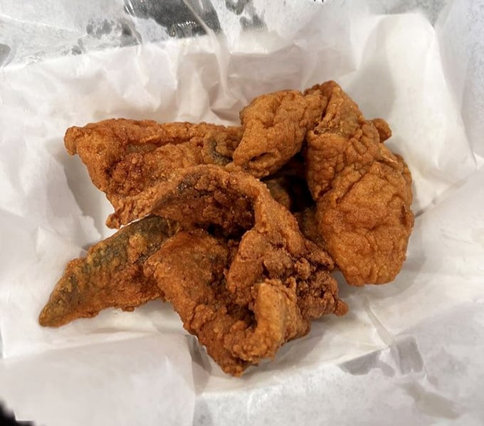 This fried fish is so crispy and perfect, it makes Long John Silver's look like Long John Tin Foil.