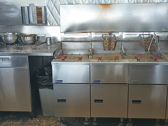 The fryer that launched a thousand cravings &ndash; where potatoes go to achieve their destiny.