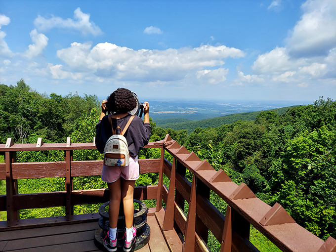 Young explorers discover that the best classroom doesn't always have four walls and desks.