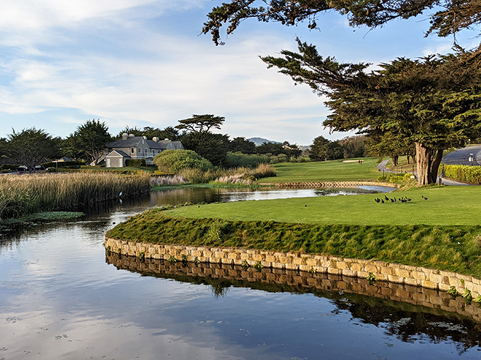 Half Moon Bay's golf course &ndash; where water hazards come with scenic views and lost balls seem like a fair trade for the scenery.