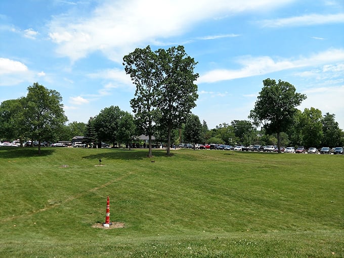 Harmon Park's open green spaces invite impromptu games and lazy afternoon naps. Where Wapakoneta residents have been spreading blankets and making memories for decades.