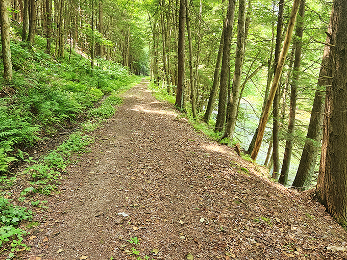 Hiking trails carpeted with pine needles invite exploration. Each step forward is a step back in time to a simpler, more connected way of living.