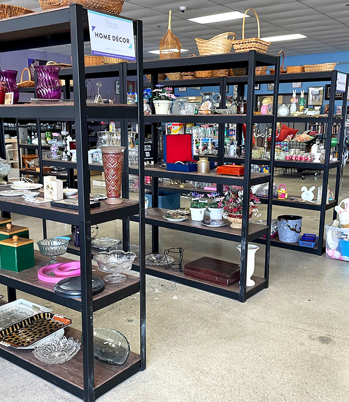 Home d&eacute;cor items whisper possibilities of cozy makeovers without expensive interior design consultations.