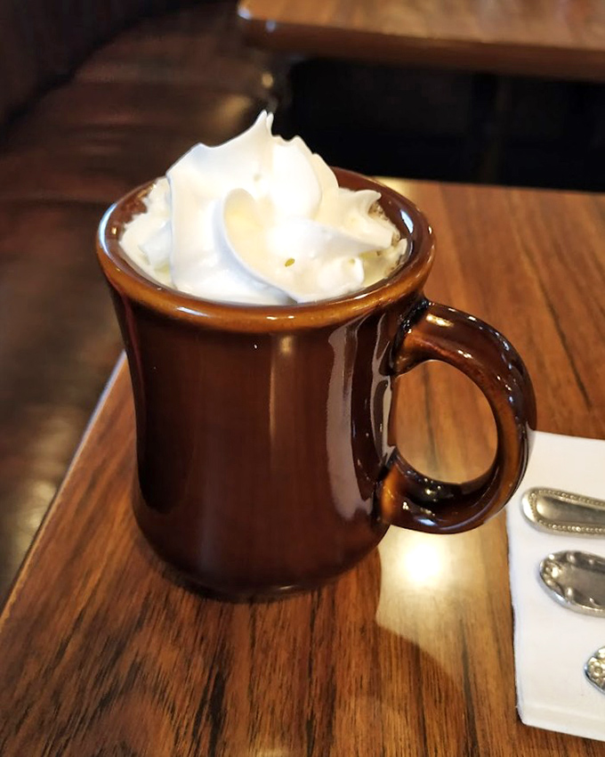 Hot chocolate served in a sturdy brown mug with a cloud of whipped cream&mdash;proof that sometimes the simplest pleasures are the most satisfying.