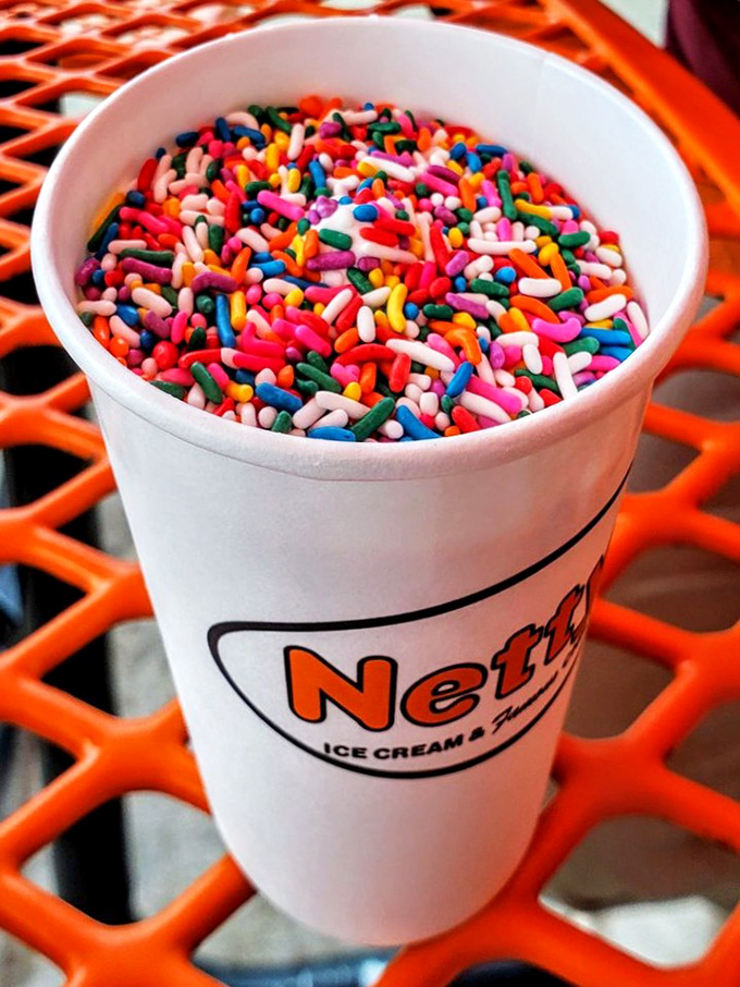 Ice cream so thick the spoon stands at attention. The kind of dessert that makes you slow down and appreciate the simple things.