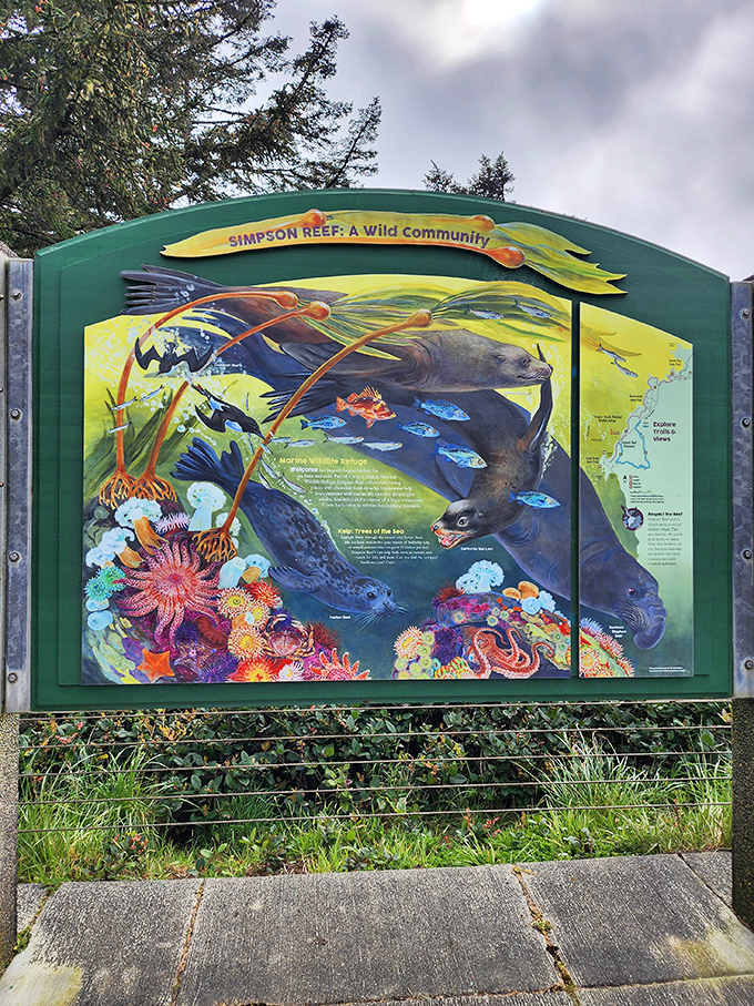 An illustrated marine biology lesson that's infinitely more engaging than that textbook you fell asleep on in 10th grade.