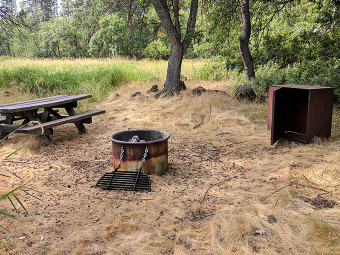 Camping minimalism at its finest&mdash;picnic table, fire ring, and bear box. Just add friends, food, and ghost stories for instant memories.