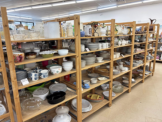 Dish paradise for kitchen enthusiasts, where complete sets and one-of-a-kind pieces stand ready to serve up style at prices that feel like typos.