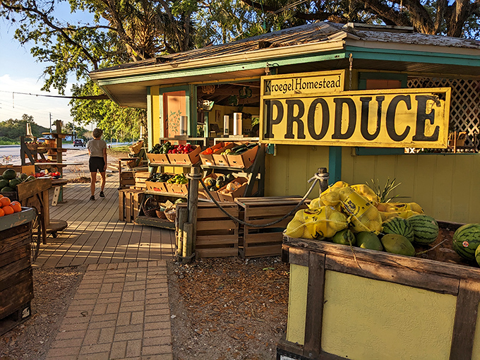 Kroegel Homestead Produce offers farm-fresh bounty with old-Florida charm. This roadside stand proves the best shopping doesn't always happen in air-conditioned malls.
