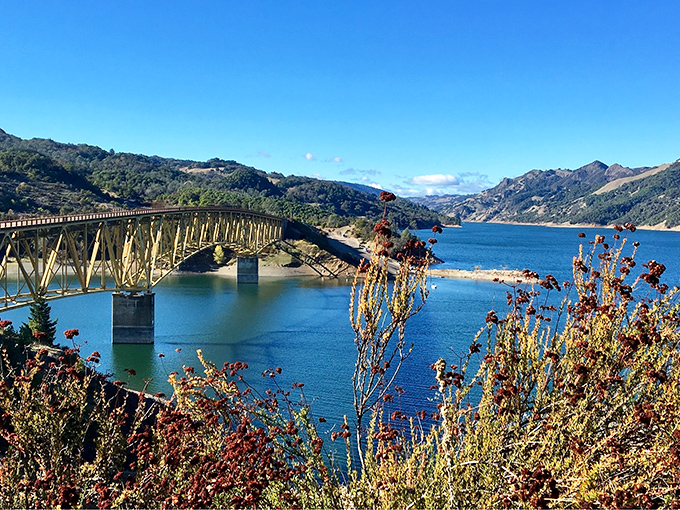 Lake Sonoma offers postcard views that Instagram filters can't improve. Nature showing off without charging admission.