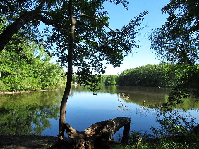 Nature's canvas at its finest: the still waters create a perfect mirror image of the verdant shoreline, doubling the visual feast.